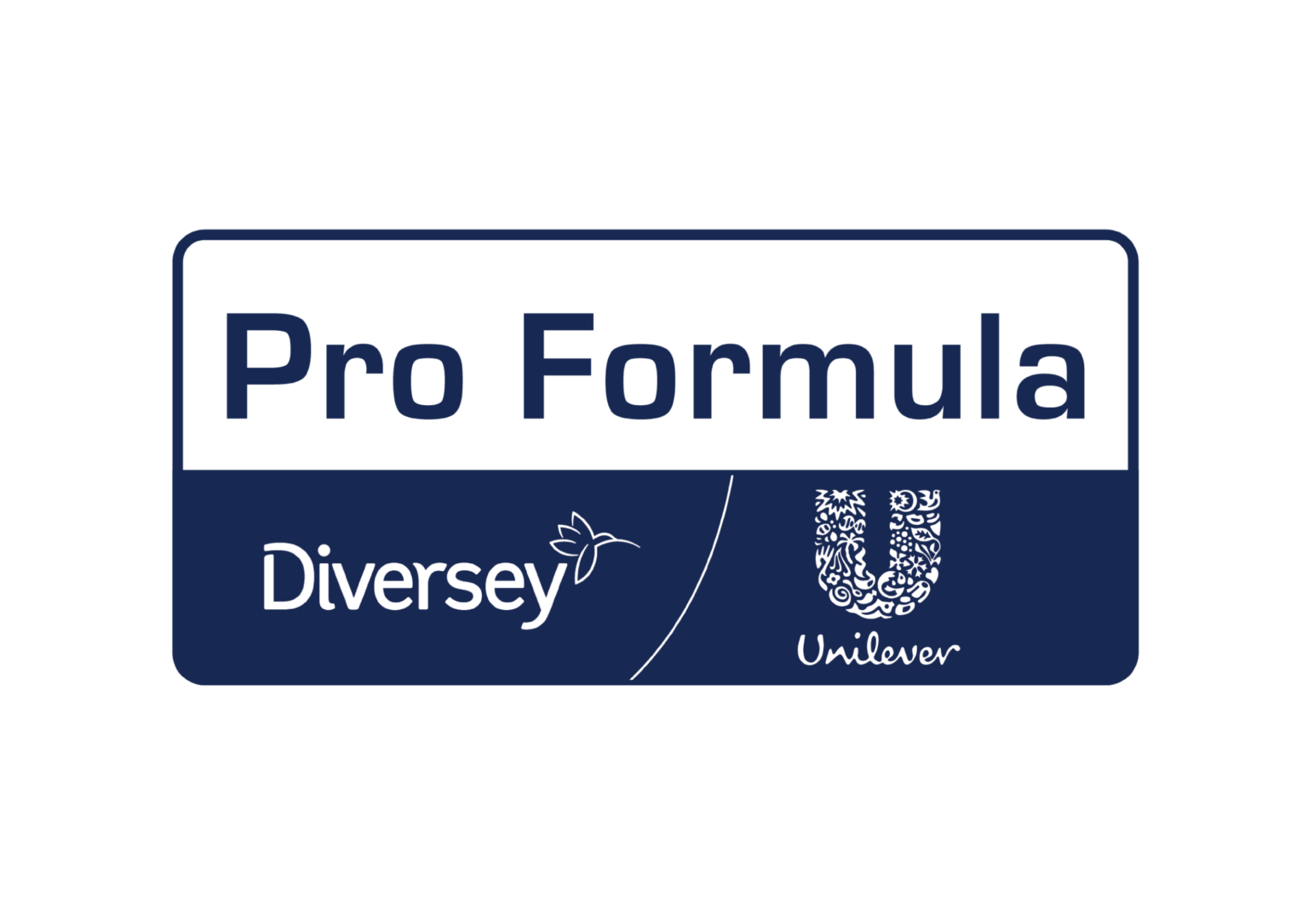 Marcas Líderes en Higiene y Limpieza: Diversey, Vileda, Tork