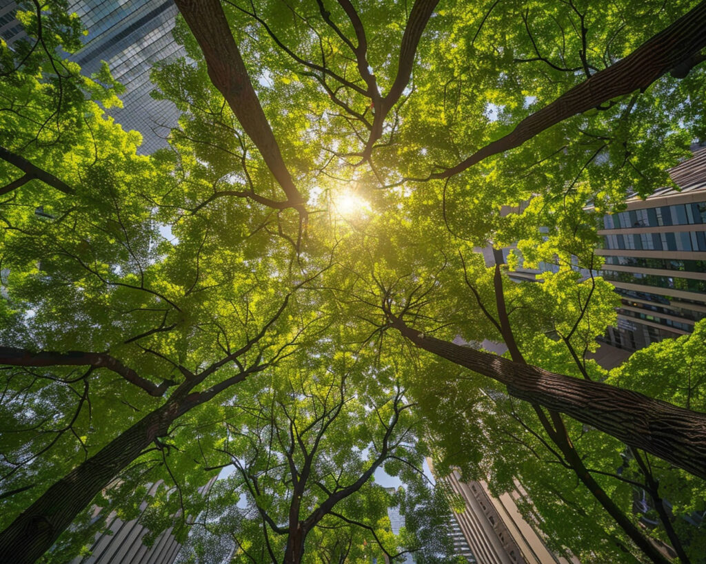 Productos RESSOL para limpieza profesional | Hielados Biete